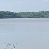 Lake Thom-a-Lex Nature Trail, North Carolina - 264 Reviews, Map | AllTrails