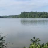 Lake Thom-a-Lex Nature Trail, North Carolina - 264 Reviews, Map | AllTrails
