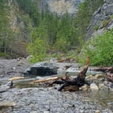 Heart Creek Trail, Alberta, Canada - 3,600 Reviews, Map | AllTrails