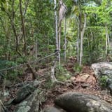 Magens Bay Beach Trail, Saint Thomas, US Virgin Islands - 349 Reviews ...