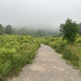 Pyramid Point Loop, Michigan - 1,188 Reviews, Map | AllTrails