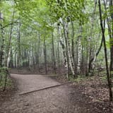 Pyramid Point Loop, Michigan - 1,188 Reviews, Map | AllTrails