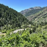 Lower Mill B North Fork Trail, Utah - 1,925 Reviews, Map | AllTrails