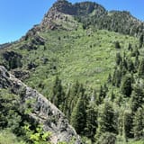 Lower Mill B North Fork Trail, Utah - 1,910 Reviews, Map | AllTrails