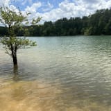 Nottely Reservoir Trail, Georgia - 1,091 Reviews, Map | AllTrails