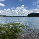 Nottely Reservoir Trail, Georgia - 1,091 Reviews, Map | AllTrails