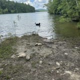 Nottely Reservoir Trail, Georgia - 1,091 Reviews, Map | AllTrails