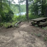 Nottely Reservoir Trail, Georgia - 1,091 Reviews, Map | AllTrails