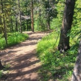 Burro Trail, Colorado - 1,574 Reviews, Map | AllTrails