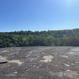 Forty Acre Rock Trail, South Carolina - 518 Reviews, Map | AllTrails