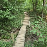 Carderock Park Loop, Maryland - 1,354 Reviews, Map | AllTrails