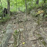 Carderock Park Loop, Maryland - 1,354 Reviews, Map | AllTrails