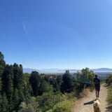 Adams Canyon Trail, Utah - 7,590 Reviews, Map | AllTrails