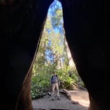 Berry Glen and Lady Bird Grove Trail , California - 564 Reviews, Map ...