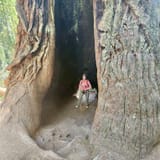 Berry Glen and Lady Bird Grove Trail , California - 564 Reviews, Map ...