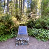 Berry Glen and Lady Bird Grove Trail , California - 564 Reviews, Map ...