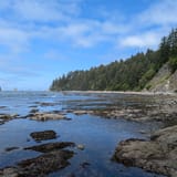 Rialto Beach Trail, Washington - 349 Reviews, Map | AllTrails