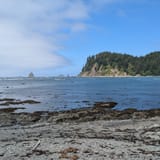 Rialto Beach Trail, Washington - 349 Reviews, Map | AllTrails
