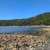 Rialto Beach Trail, Washington - 349 Reviews, Map | AllTrails