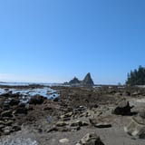Rialto Beach Trail, Washington - 349 Reviews, Map | AllTrails