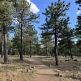 Colorow Mountain Forest and Meadow Loop Trail, Colorado - 595 Reviews ...