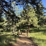 Colorow Mountain Forest and Meadow Loop Trail, Colorado - 595 Reviews ...