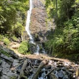 Mingo Falls Trail, North Carolina - 1,854 Reviews, Map | AllTrails