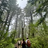 Amanda's Trail, Oregon - 546 Reviews, Map | AllTrails