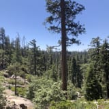 Viola Falls, California - 371 Reviews, Map | AllTrails
