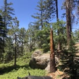 Viola Falls, California - 371 Reviews, Map | AllTrails