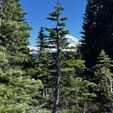 Summit Lake Trail, Washington - 2,805 Reviews, Map | AllTrails