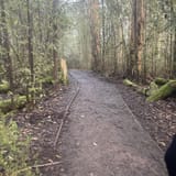 Masons Falls and Mount Sugarloaf Circuit, Victoria, Australia - 996 ...