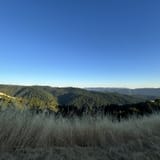 Hickory Oak Ridge Trail Loop, California - 232 Reviews, Map | AllTrails