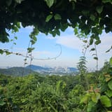 Kemensah - Bukit Pau Extended Trail, Selangor, Malaysia - 606 Reviews ...
