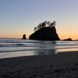 Second Beach, Washington - 1,855 Reviews, Map | AllTrails