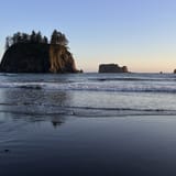 Second Beach, Washington - 1,840 Reviews, Map | AllTrails