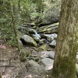 Tremont Logging History Auto Tour, Tennessee - 162 Reviews, Map | AllTrails