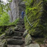 Rimrock Overlook Trail, Pennsylvania - 539 Reviews, Map | AllTrails