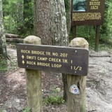 Rock Bridge Trail, Kentucky - 3,895 Reviews, Map | AllTrails