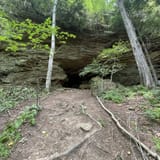 Rock Bridge Trail, Kentucky - 3,839 Reviews, Map | AllTrails