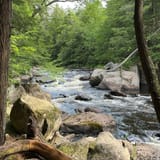 Auger Falls Loop, New York - 760 Reviews, Map | AllTrails