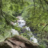 Auger Falls Loop, New York - 760 Reviews, Map | AllTrails