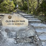 Old Baldy Trail, Texas - 185 Reviews, Map | AllTrails