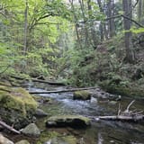 Whatcom Creek Trail Loop, Washington - 2,260 Reviews, Map | AllTrails
