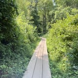Neabsco Creek Boardwalk, Virginia - 969 Reviews, Map | AllTrails