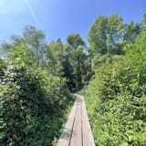 Neabsco Creek Boardwalk, Virginia - 969 Reviews, Map | AllTrails