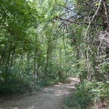 Neabsco Creek Boardwalk, Virginia - 969 Reviews, Map | AllTrails