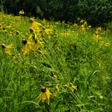 Neale Woods Nature Center Trails, Nebraska - 543 Reviews, Map | AllTrails