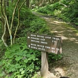 Rose River Trail, Virginia - 5,008 Reviews, Map | AllTrails