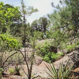 Fatmans Loop Trail, Arizona - 5,513 Reviews, Map | AllTrails